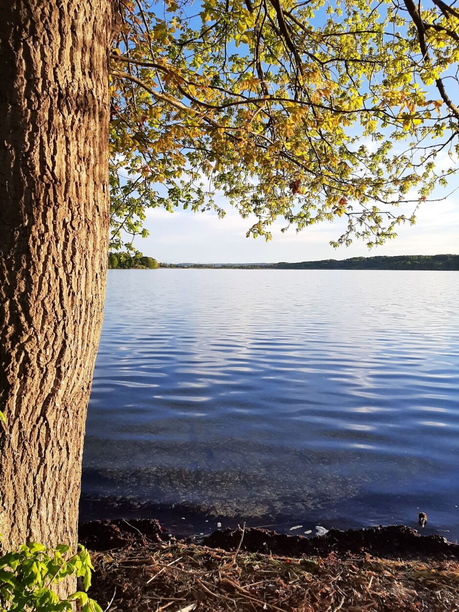 Campingplatz Pilsensee: Das beste Campingerlebnis | AlpacaCamping