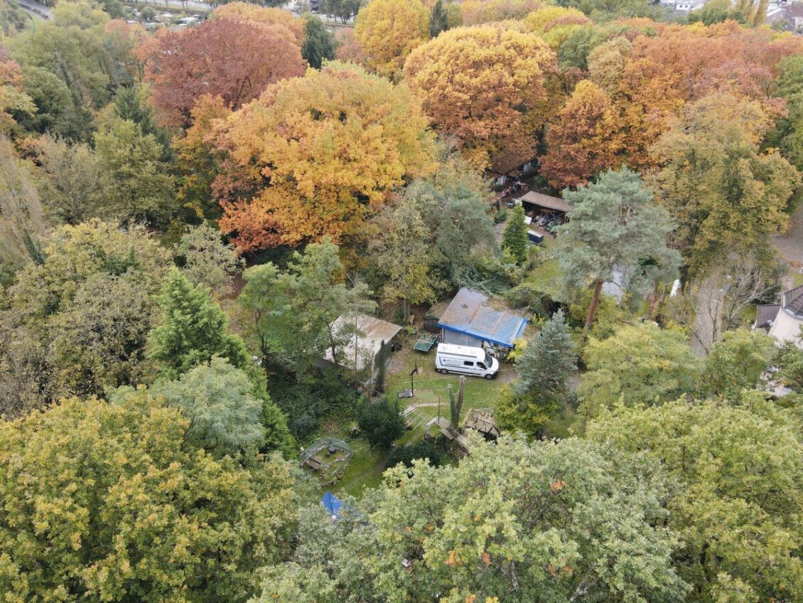 Campingroute Rhein: Camping Geheimtipps entdecken | AlpacaCamping