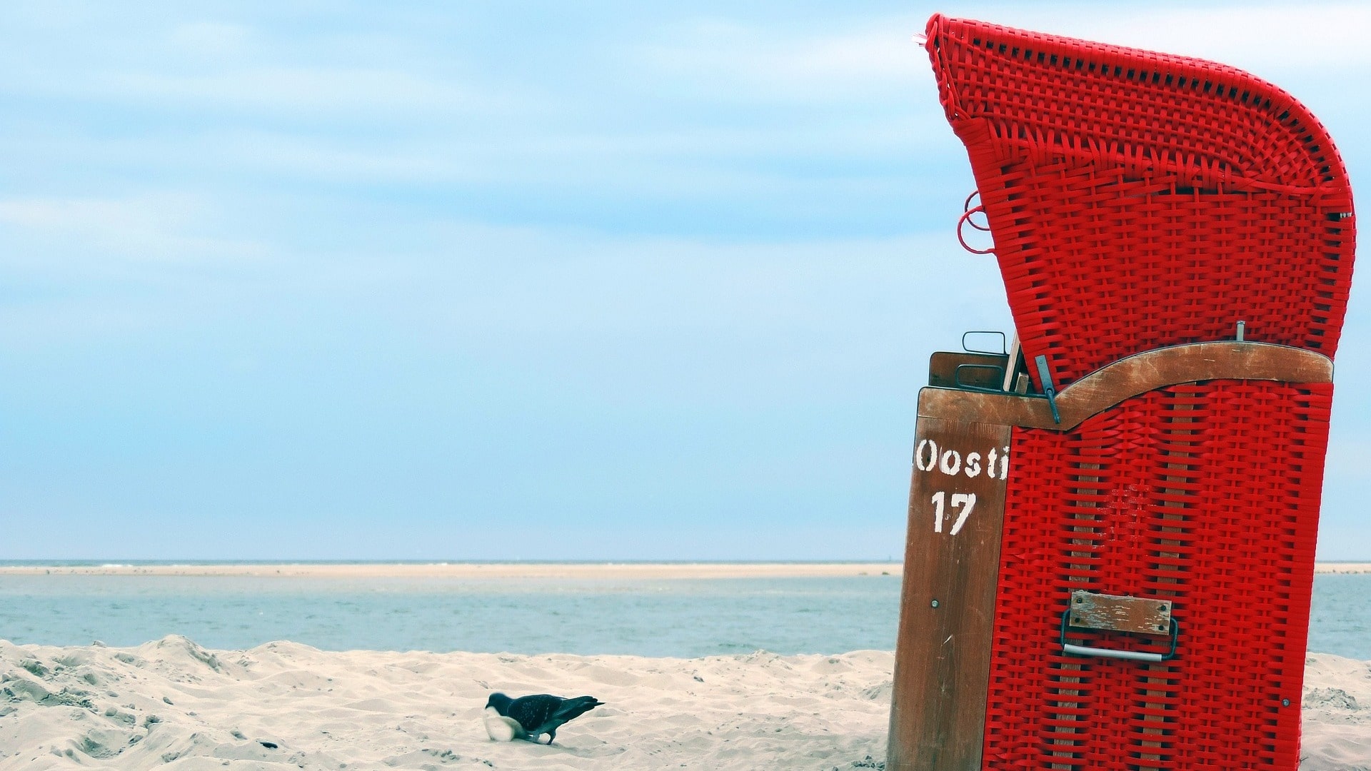 Campingplatz Großes Meer: TOP 5 Campingplätze | AlpacaCamping
