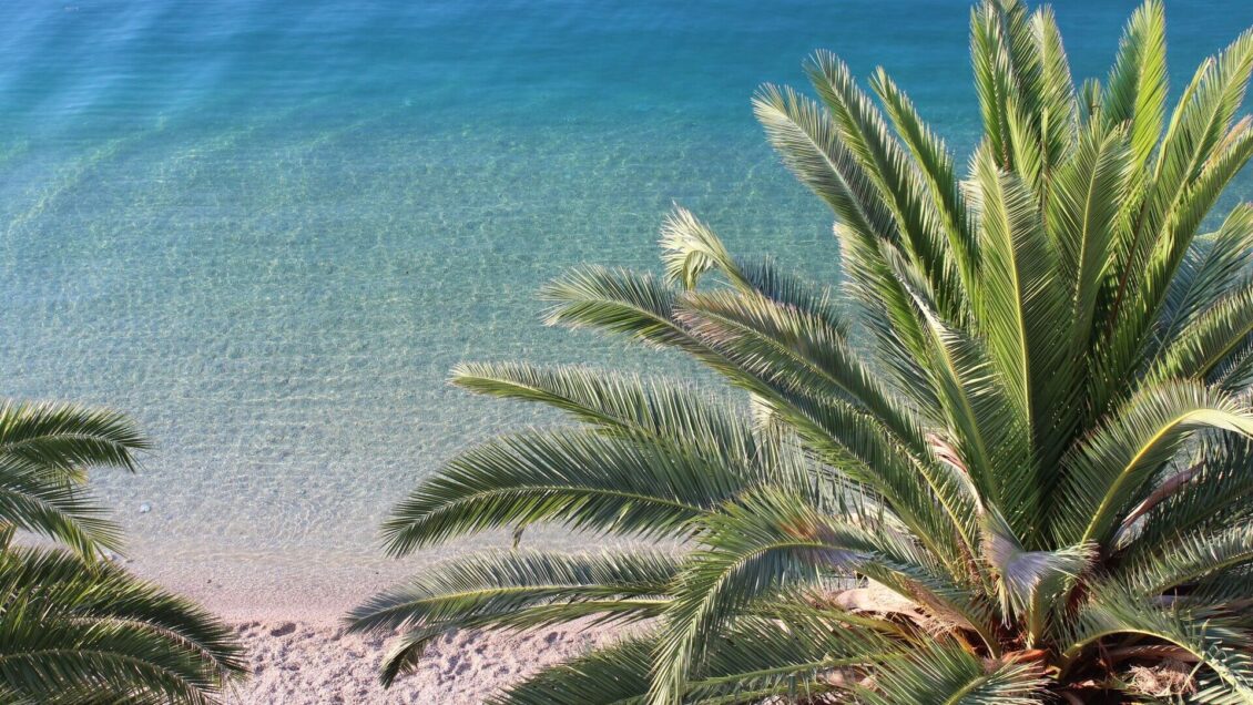 Fkk Camping Kroatien direkt am Meer: 9 idyllische Plätze | AlpacaCamping